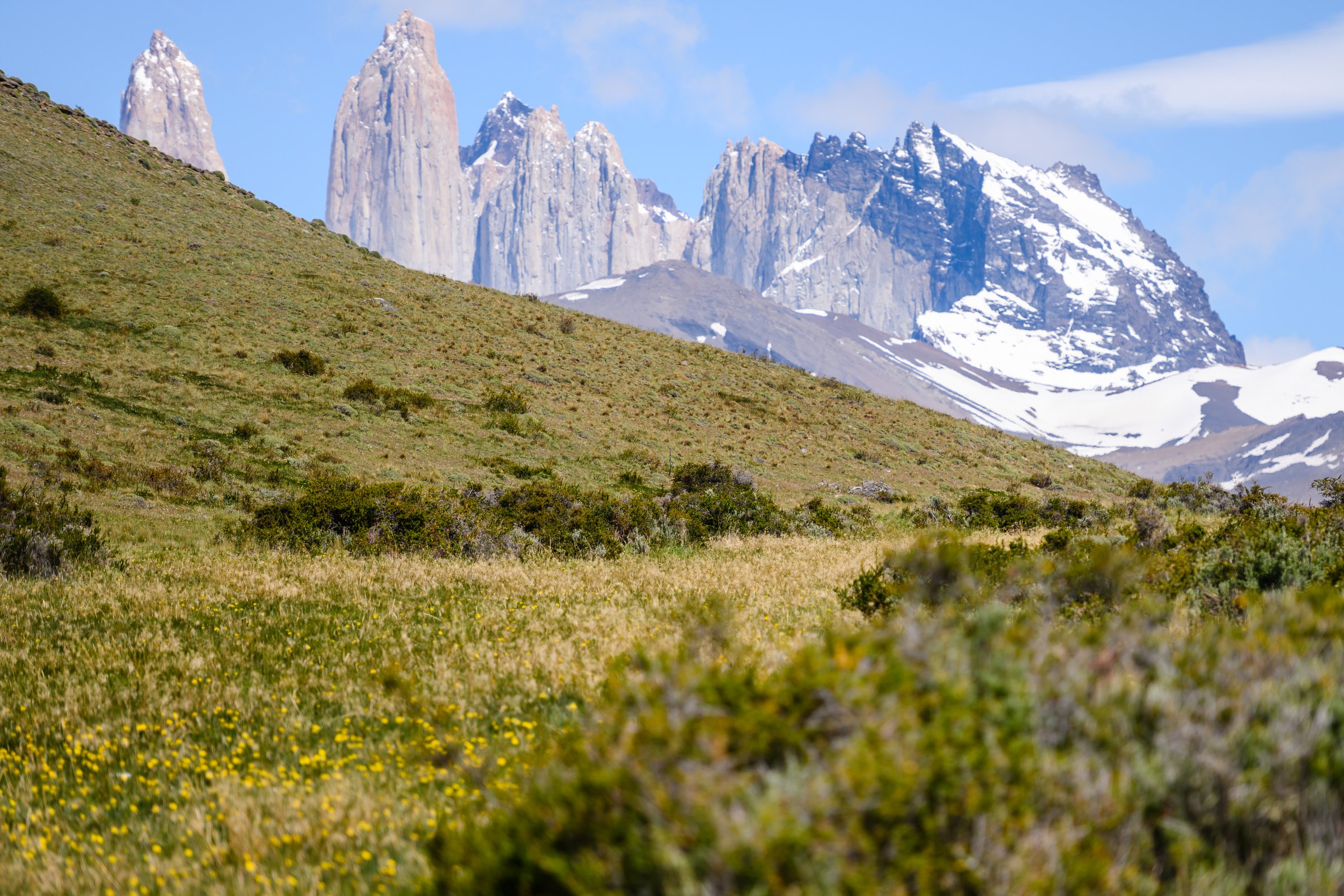 The Great Guanaco Experience