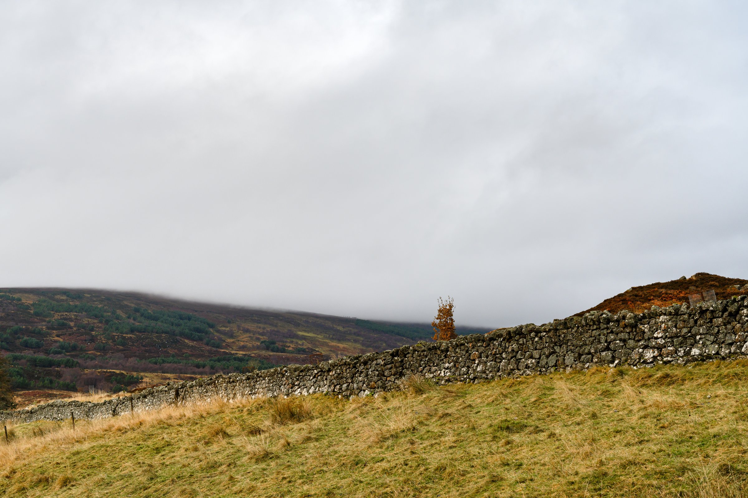 Croick and Glenmorie, Scotland