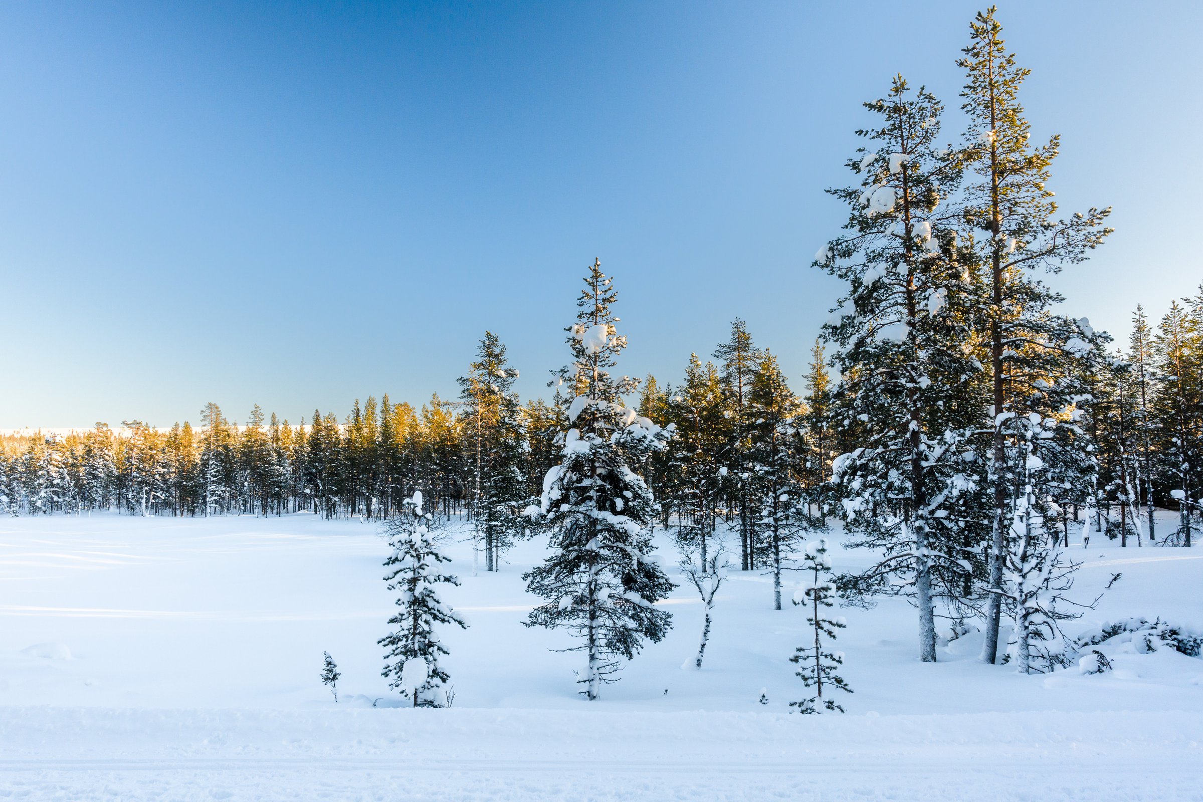 Lapping up Lapland (and the Northern Lights!)