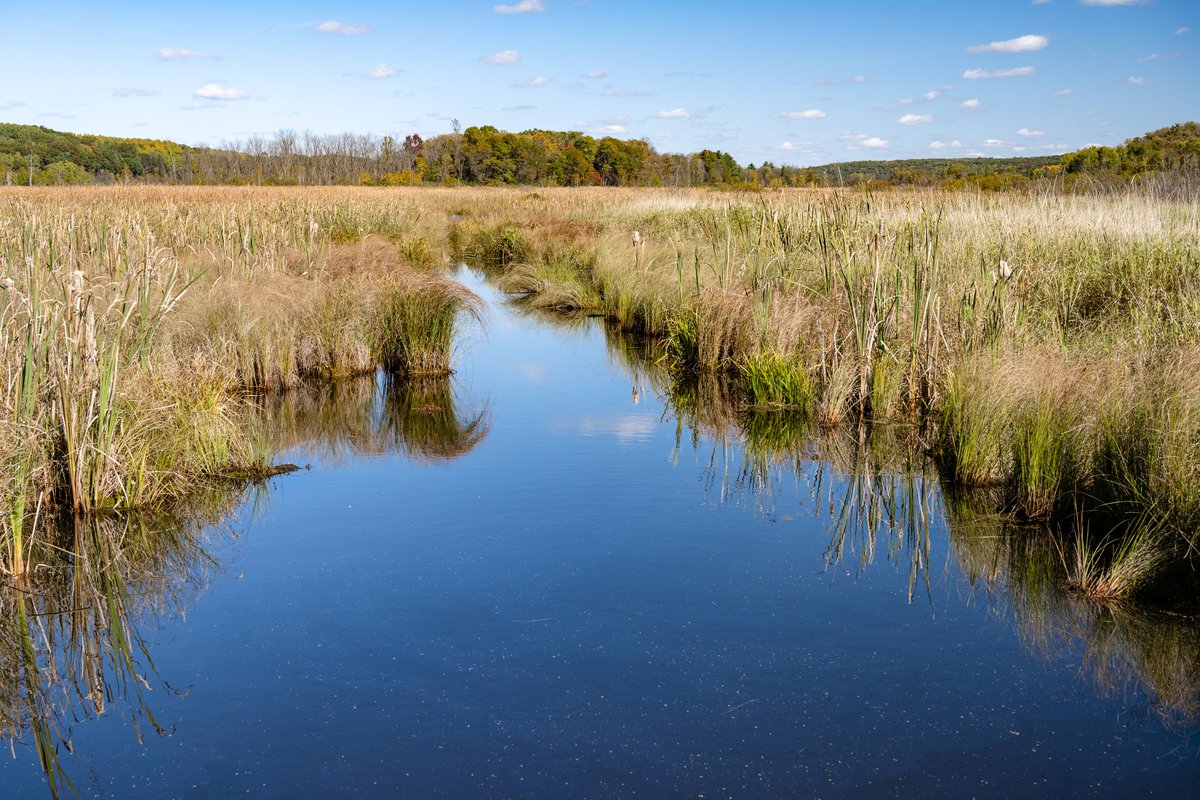 Turtle Lake, MN (and life for the last few months)