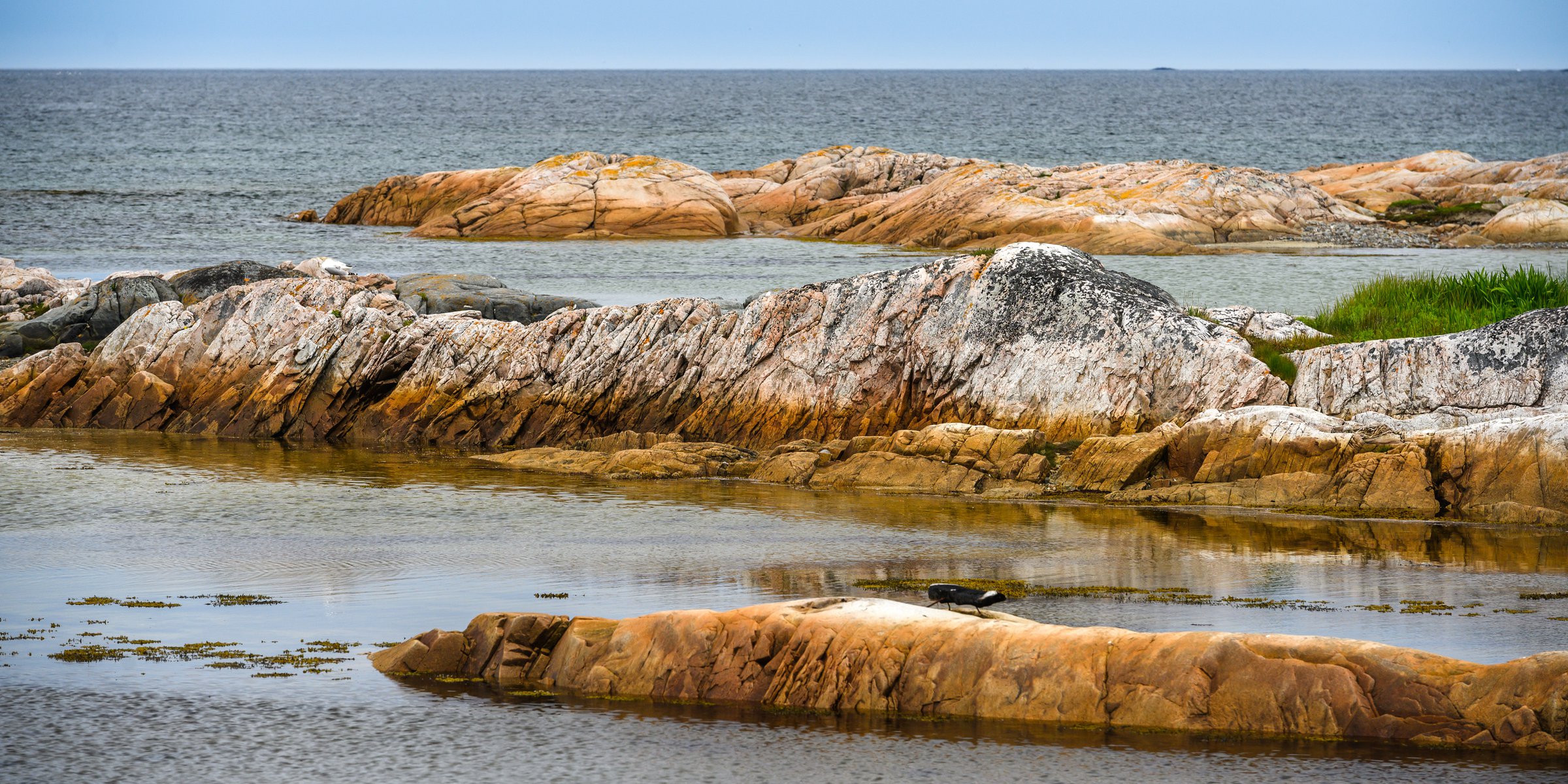 Fogo Island, Auk Walk