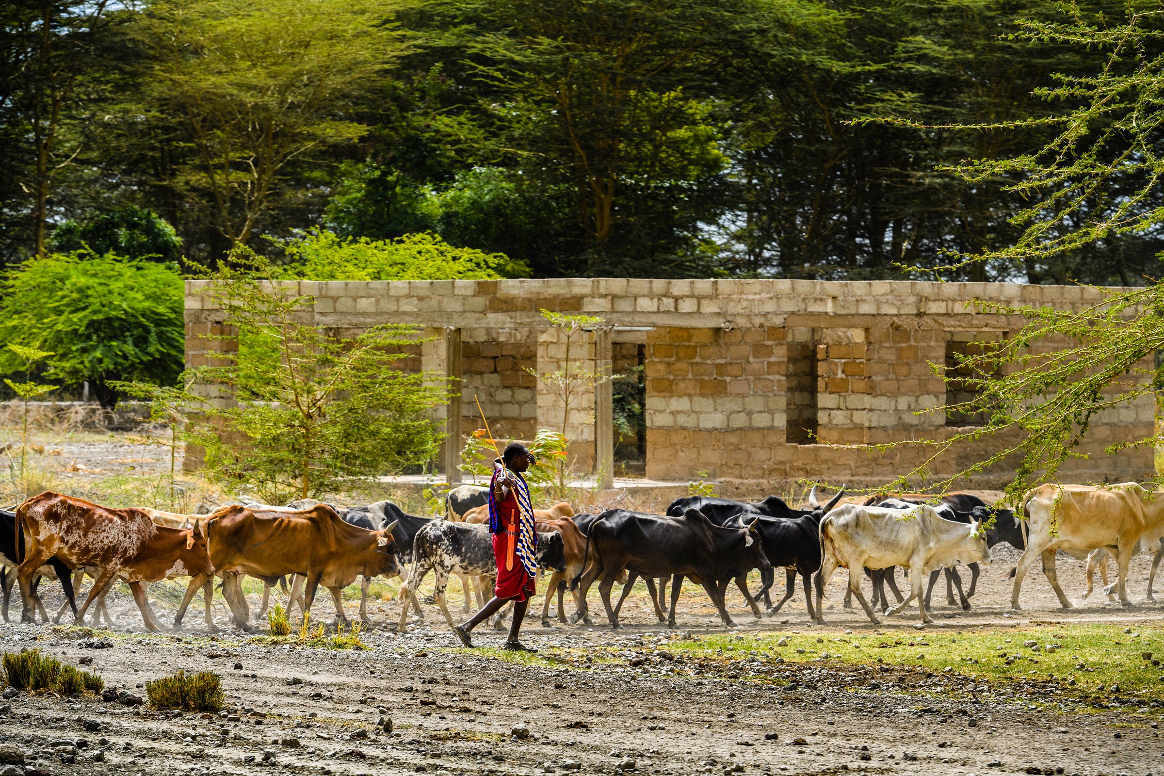 Road to Manyara, Tanzania