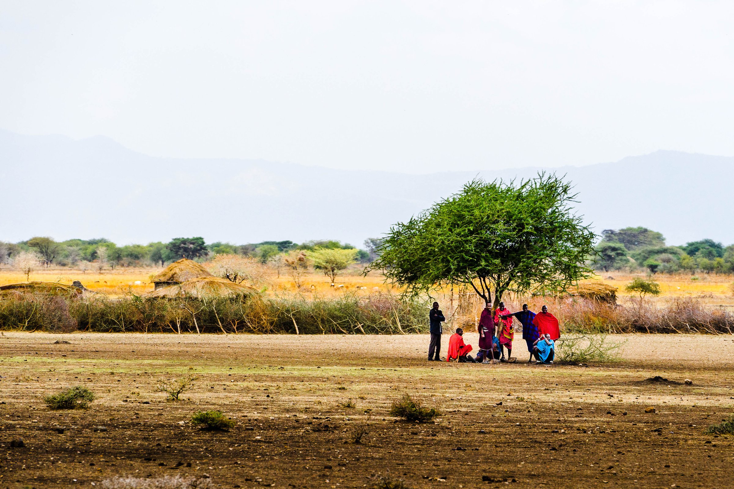Road to Manyara, Tanzania