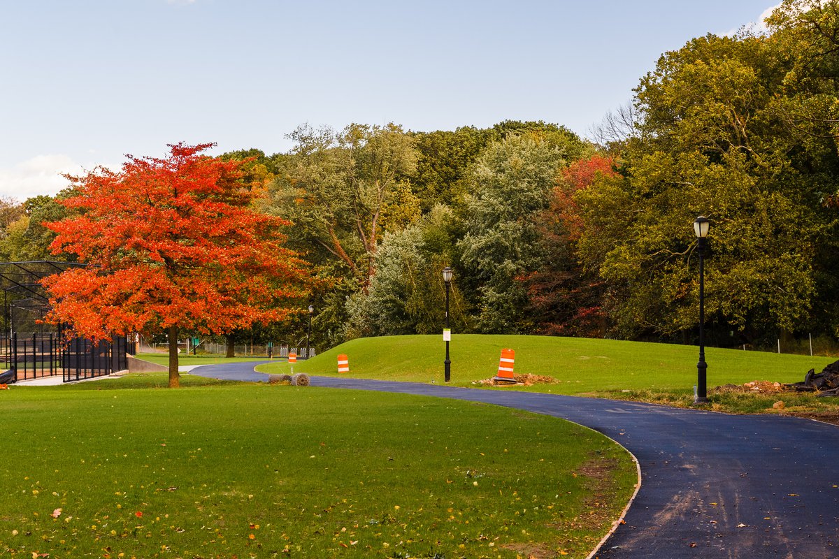 Prospect Park, Autumn 2016