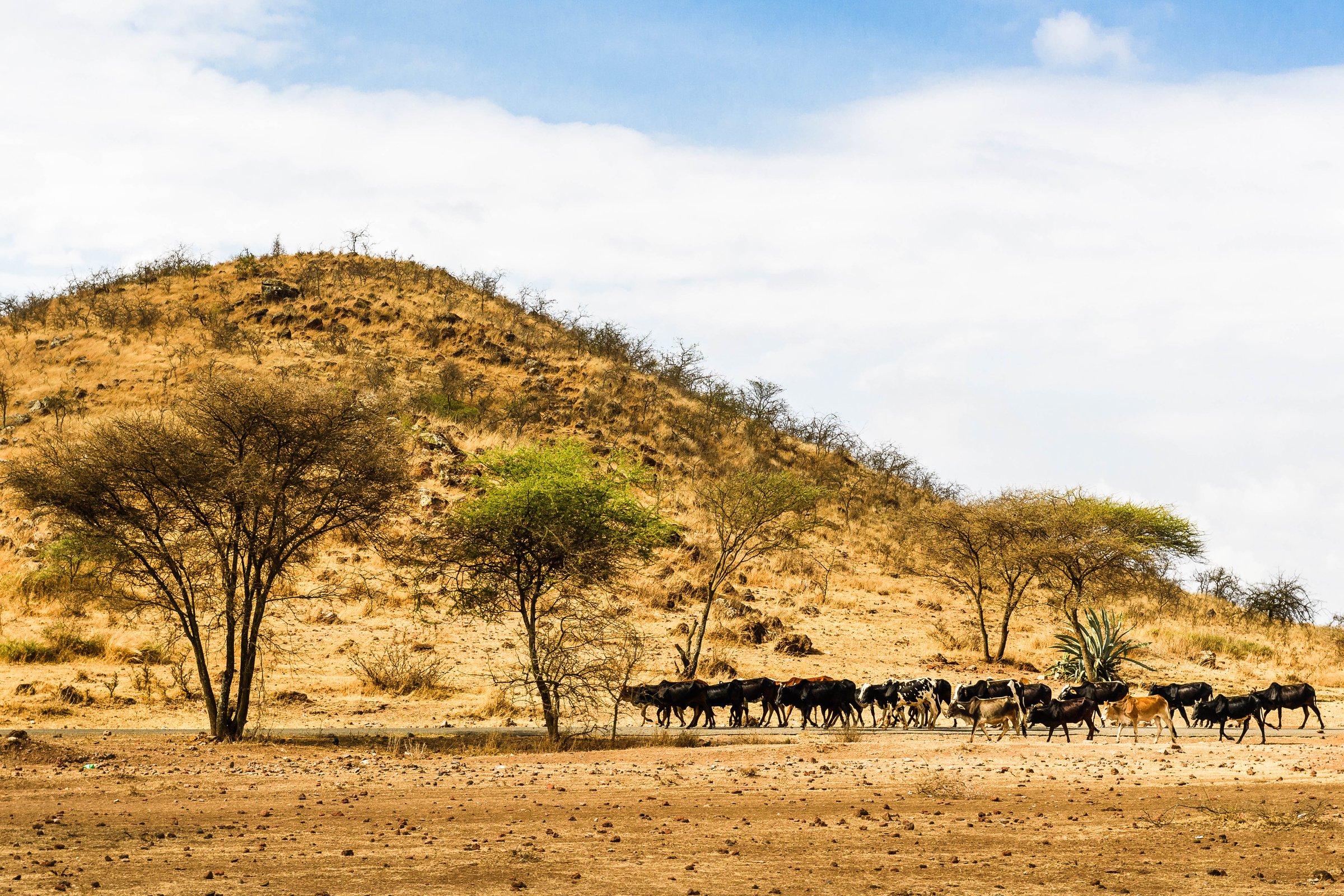 Road to Manyara, Tanzania