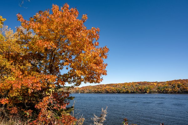 Turtle Lake, MN (and life for the last few months)